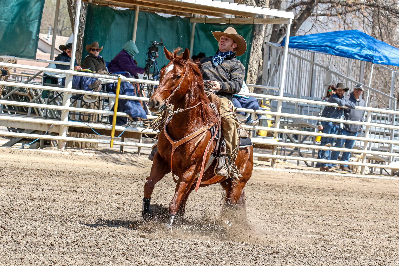 Horse Roundup 2023 | Made in the Arena: JR Vezain Competing Again ...