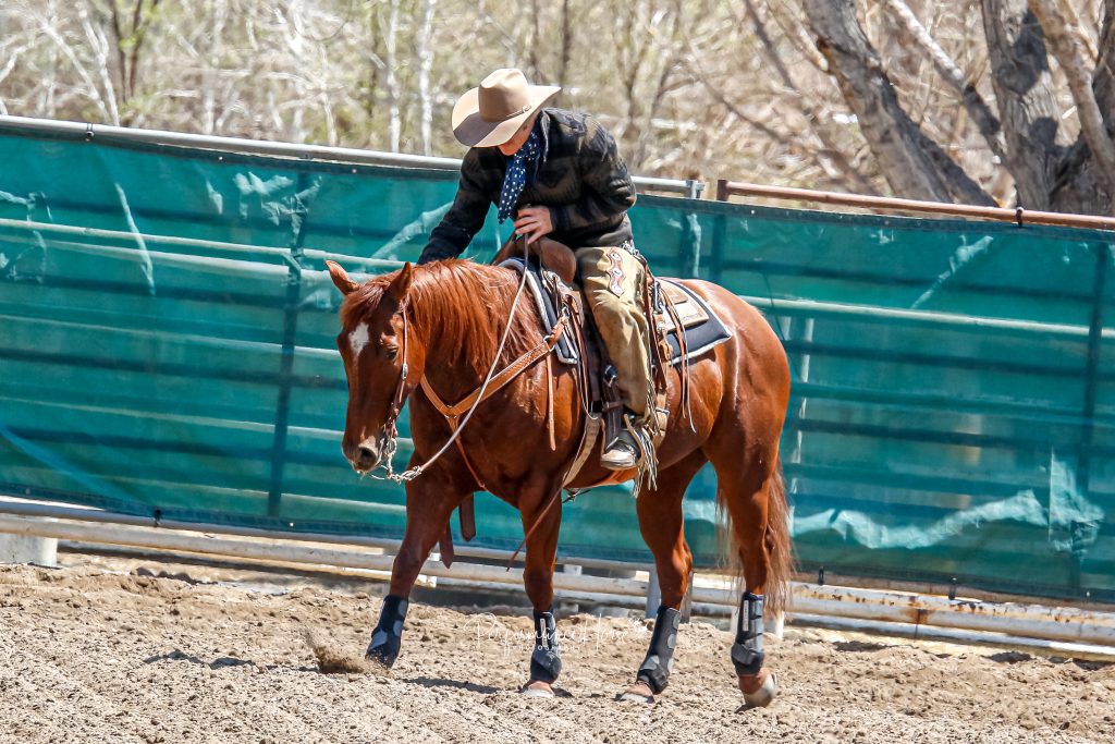 Horse Roundup 2023 | Made in the Arena: JR Vezain Competing Again ...