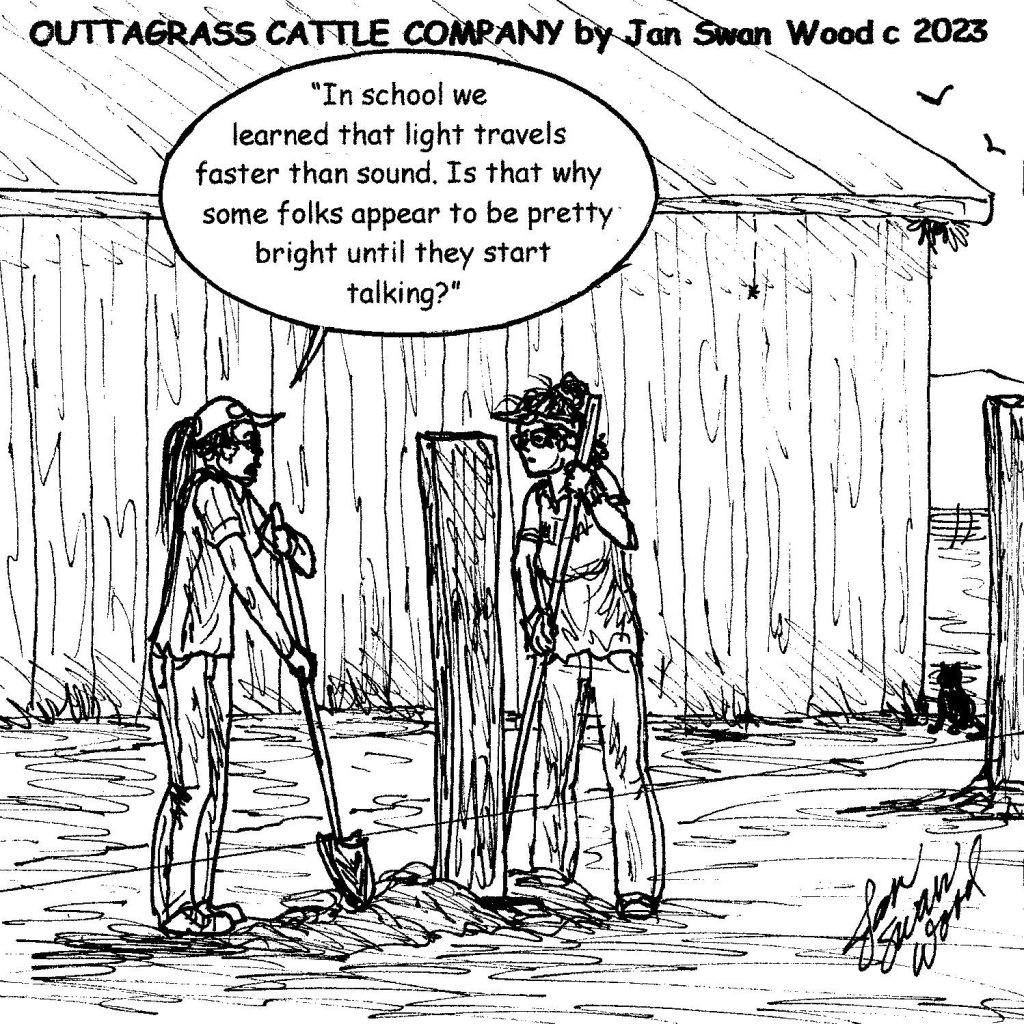 Outtagrass Cattle Co. cartoon by Jan Swan Wood | TSLN.com