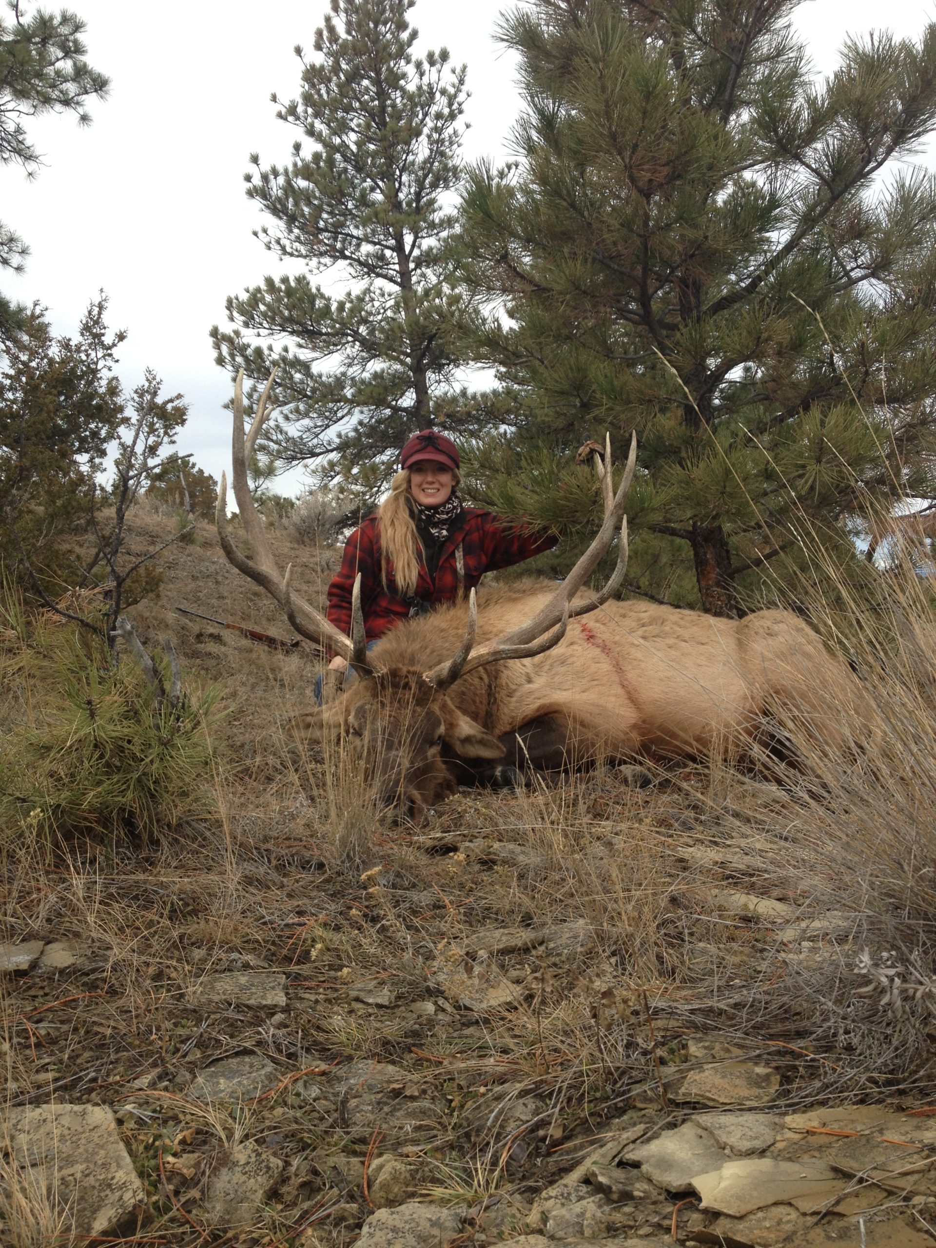 Open Season 2023 | From an Elk Camp Cook’s Perspective | TSLN.com