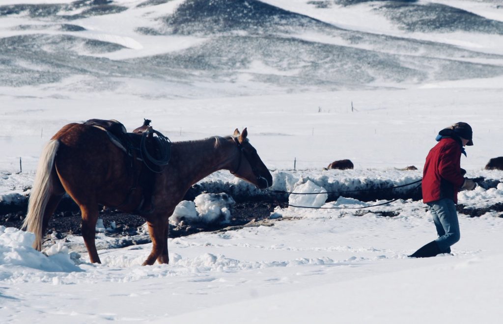 Remembering Atlas | TSLN.com