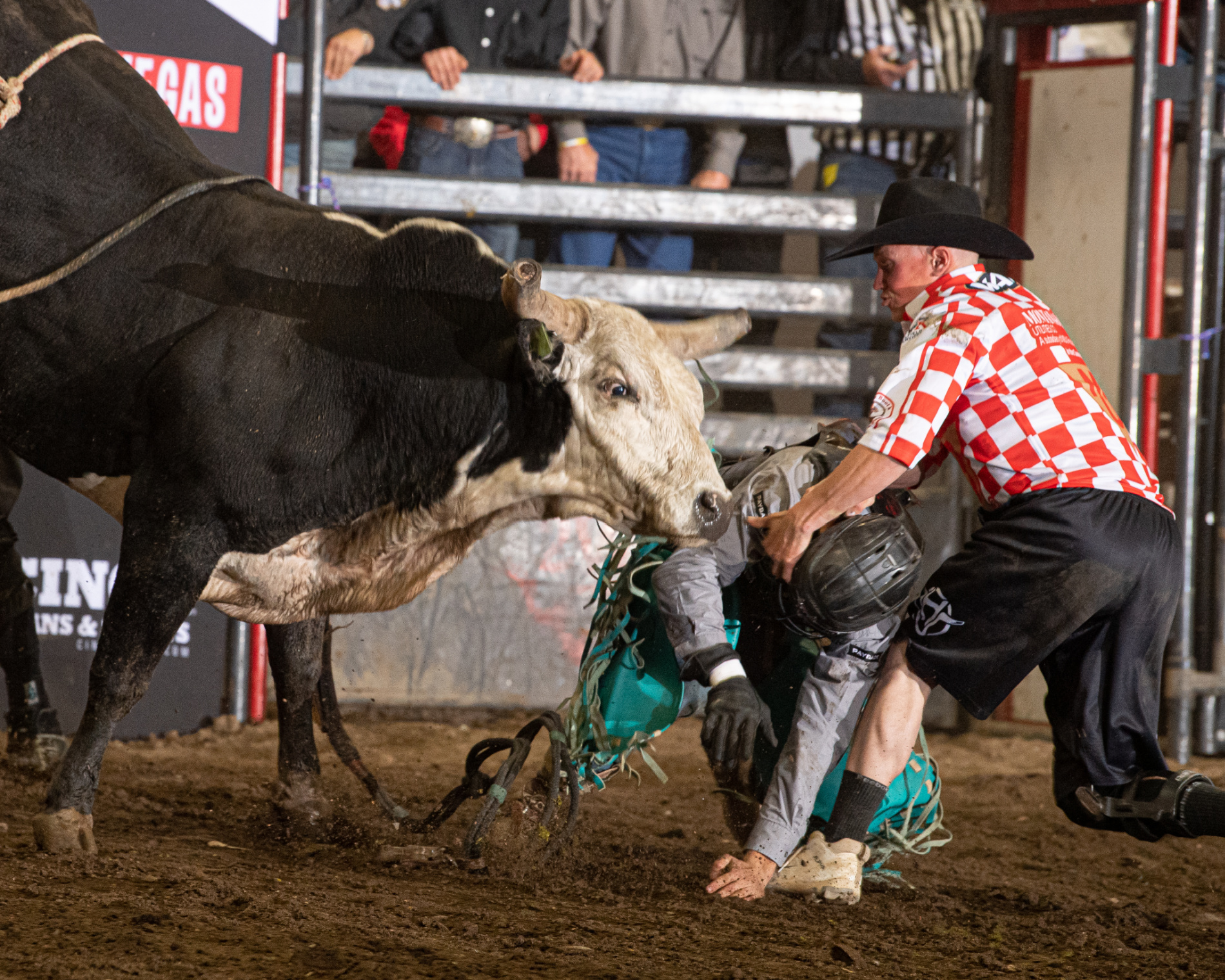 Best in the Biz: Badlands Circuit Finals Rodeo selects personnel for ...
