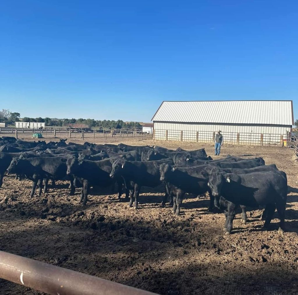 North Dakota Stockmen’s Association’s All Breeds Tour, Oct. 9, 2023 ...