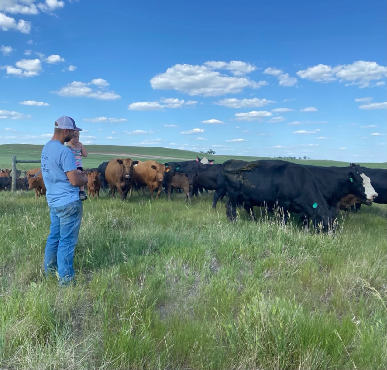 Fall Cattle Journal 2023 | Blazing New Trails: Trevor Burian | TSLN.com