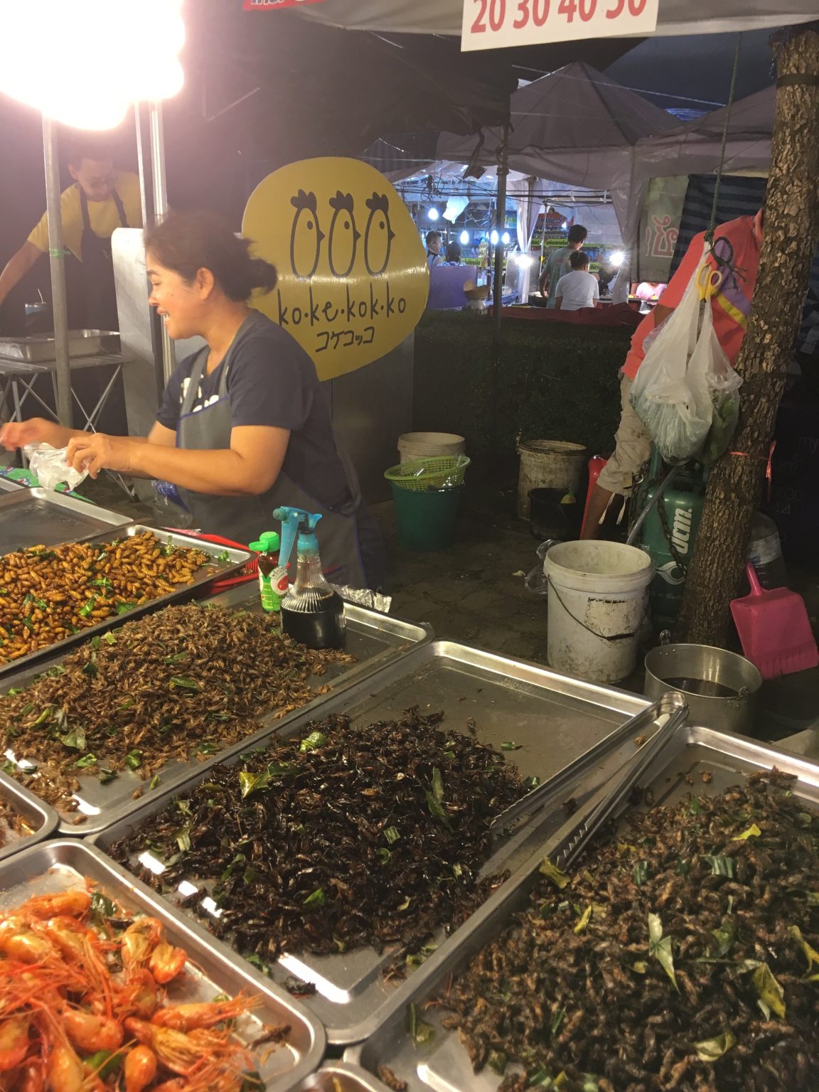 Does it bug you? Tyson invests in insect facility | TSLN.com