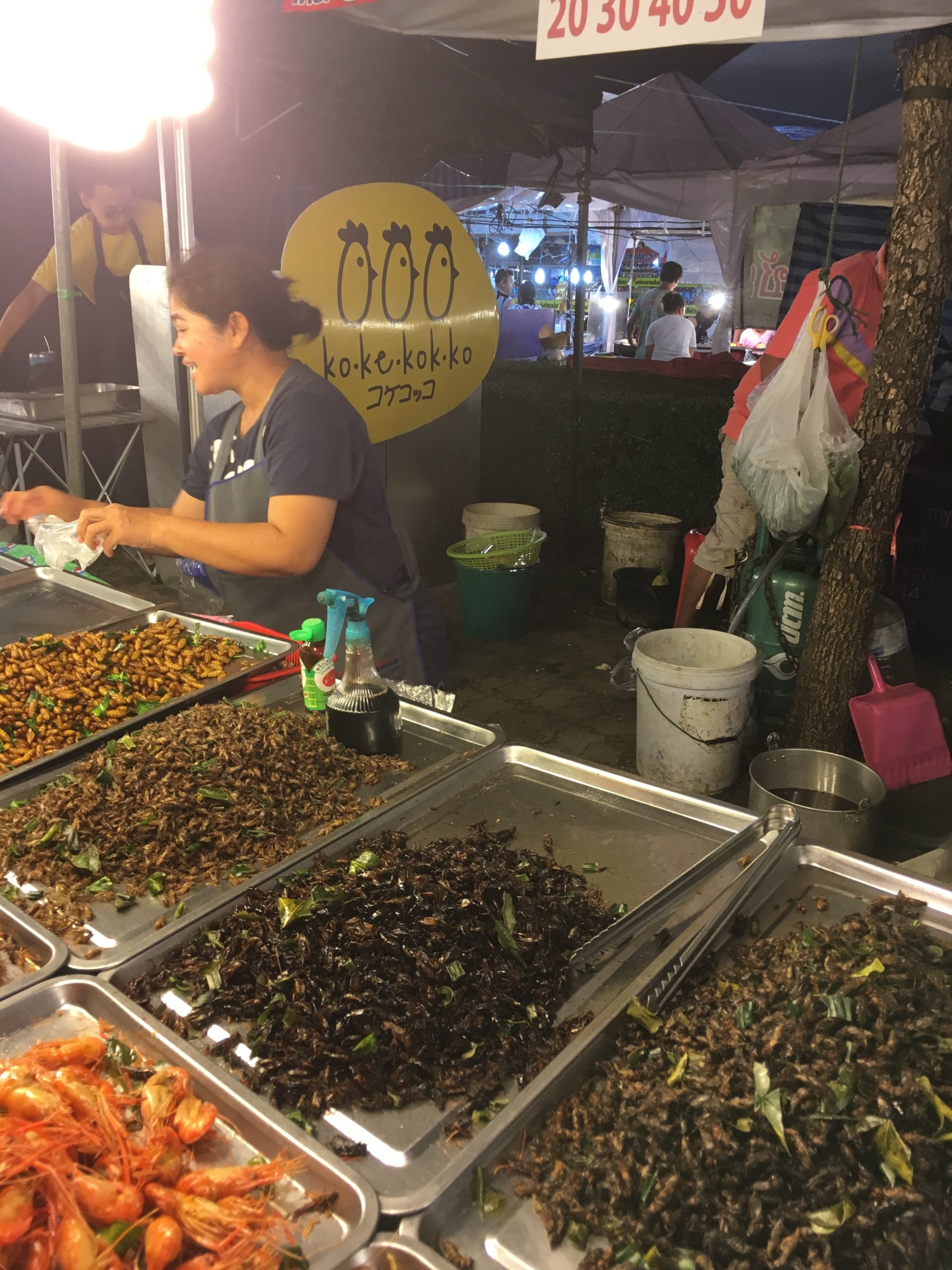 Does it bug you? Tyson invests in insect facility | TSLN.com