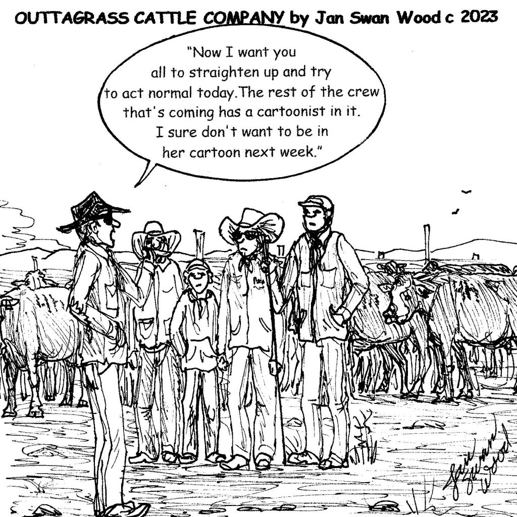 Outtagrass Cattle Co. cartoon by Jan Swan Wood | TSLN.com
