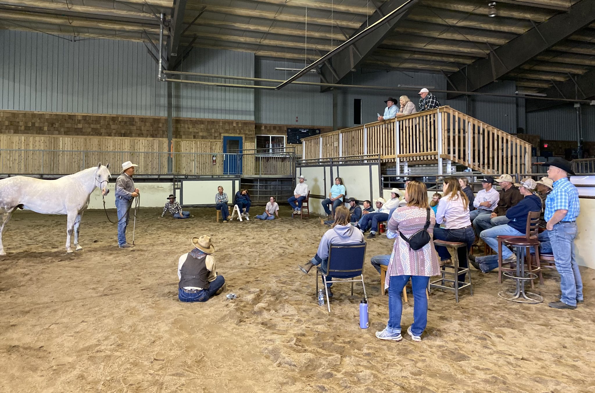 Stockmanship Challenge: Contestants judged on quiet cattle handling ...