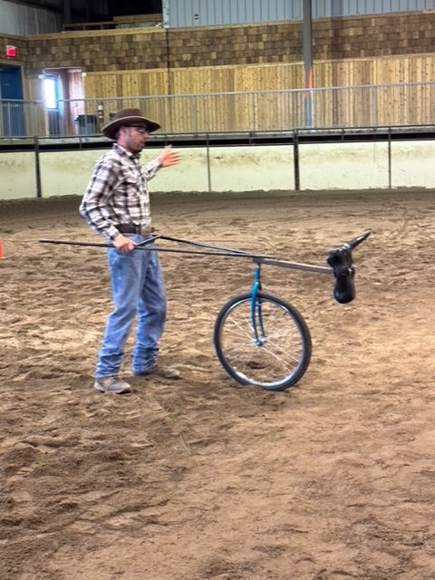 Stockmanship Challenge: Contestants judged on quiet cattle handling ...