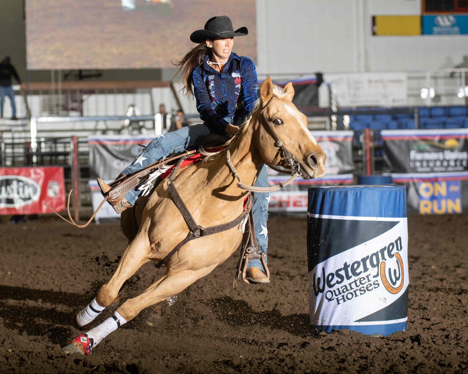 Horse Power: Horses selected as award winners in the Badlands Circuit ...