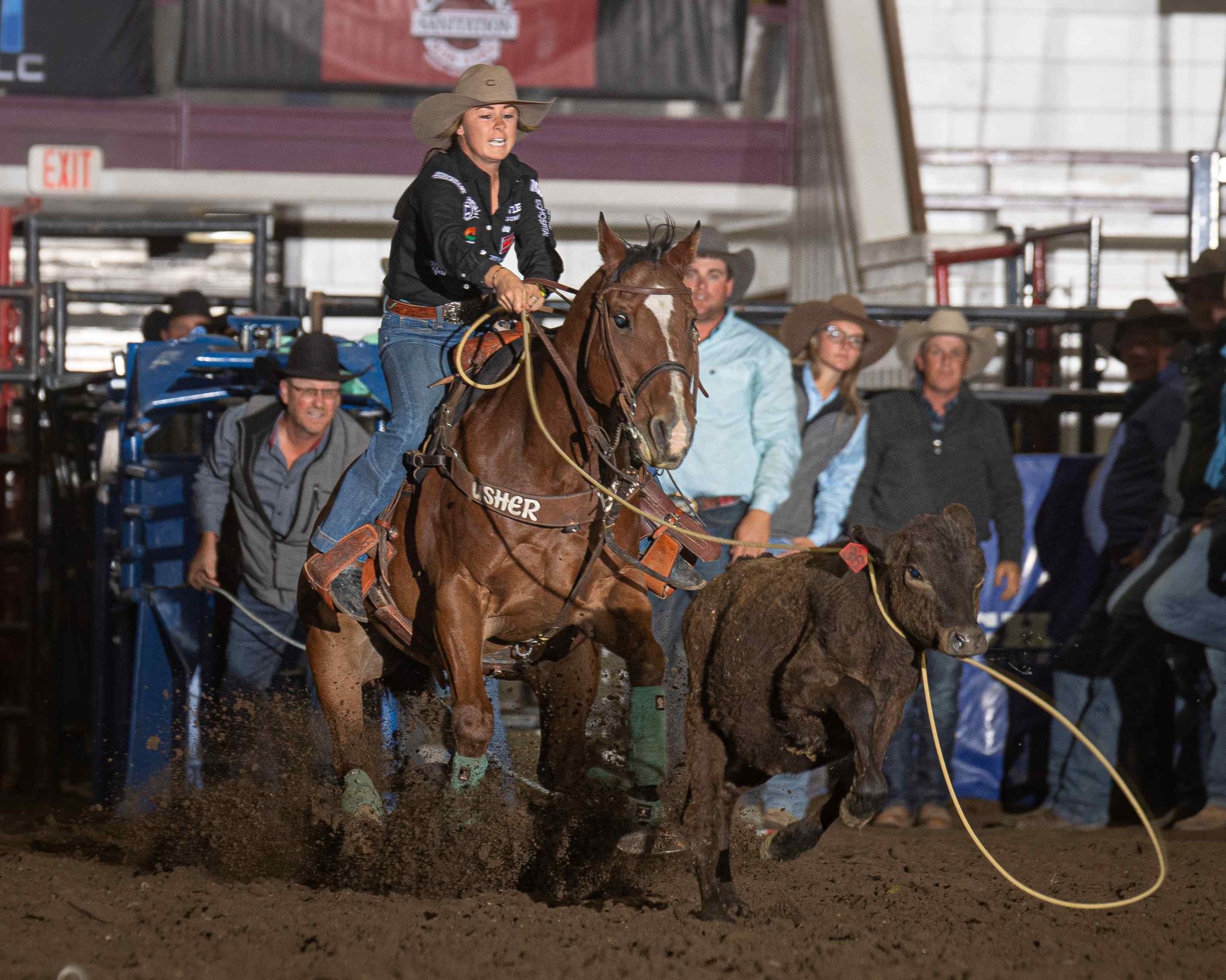 Horse Power: Horses selected as award winners in the Badlands Circuit ...