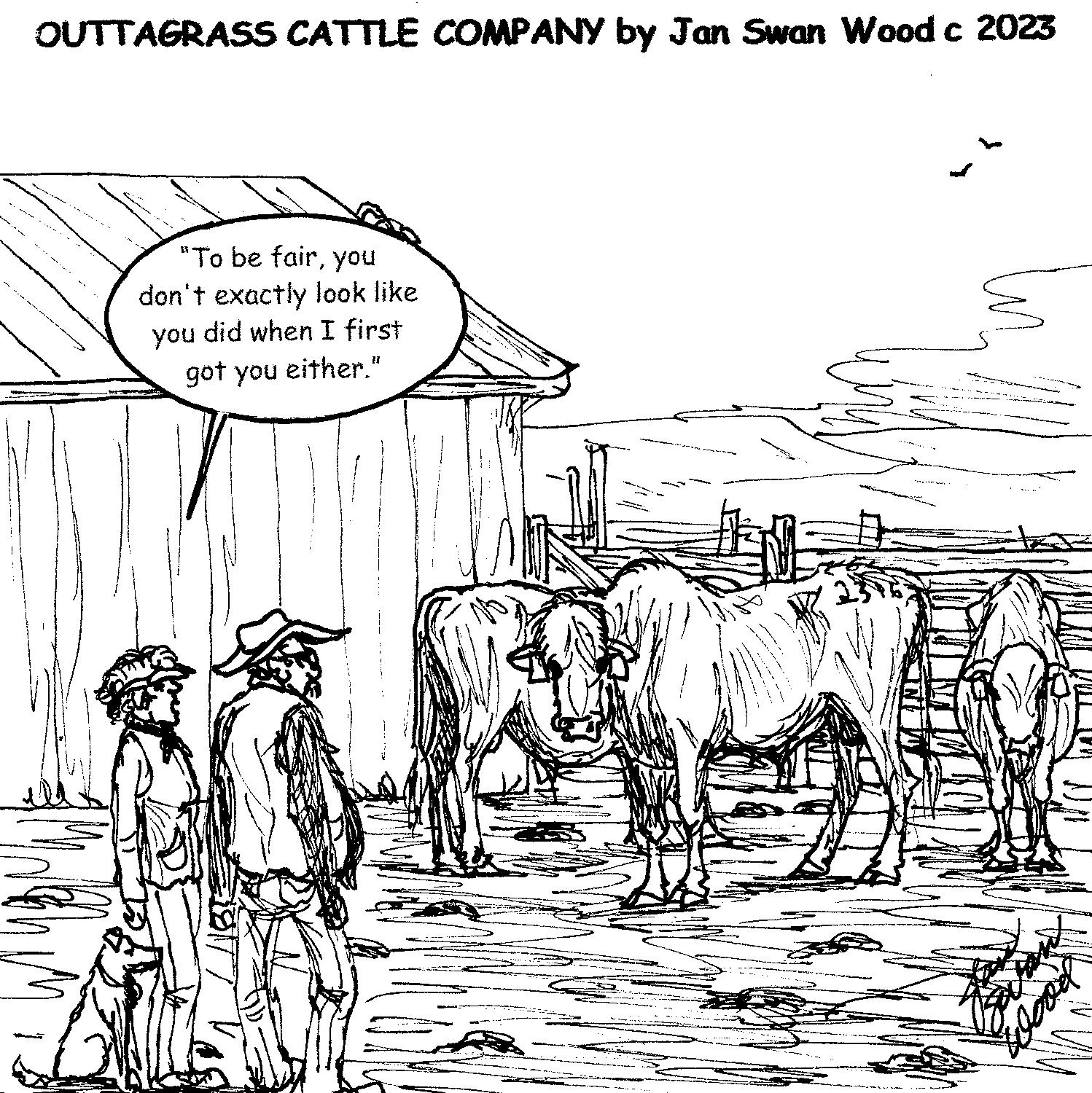 Outtagrass Cattle Co. cartoon by Jan Swan Wood | TSLN.com