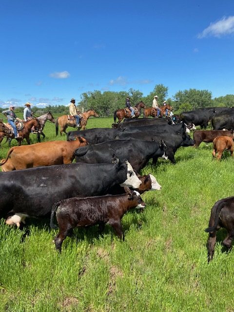 60th Anniversary Edition | Six Generations have Called the Robinson ...