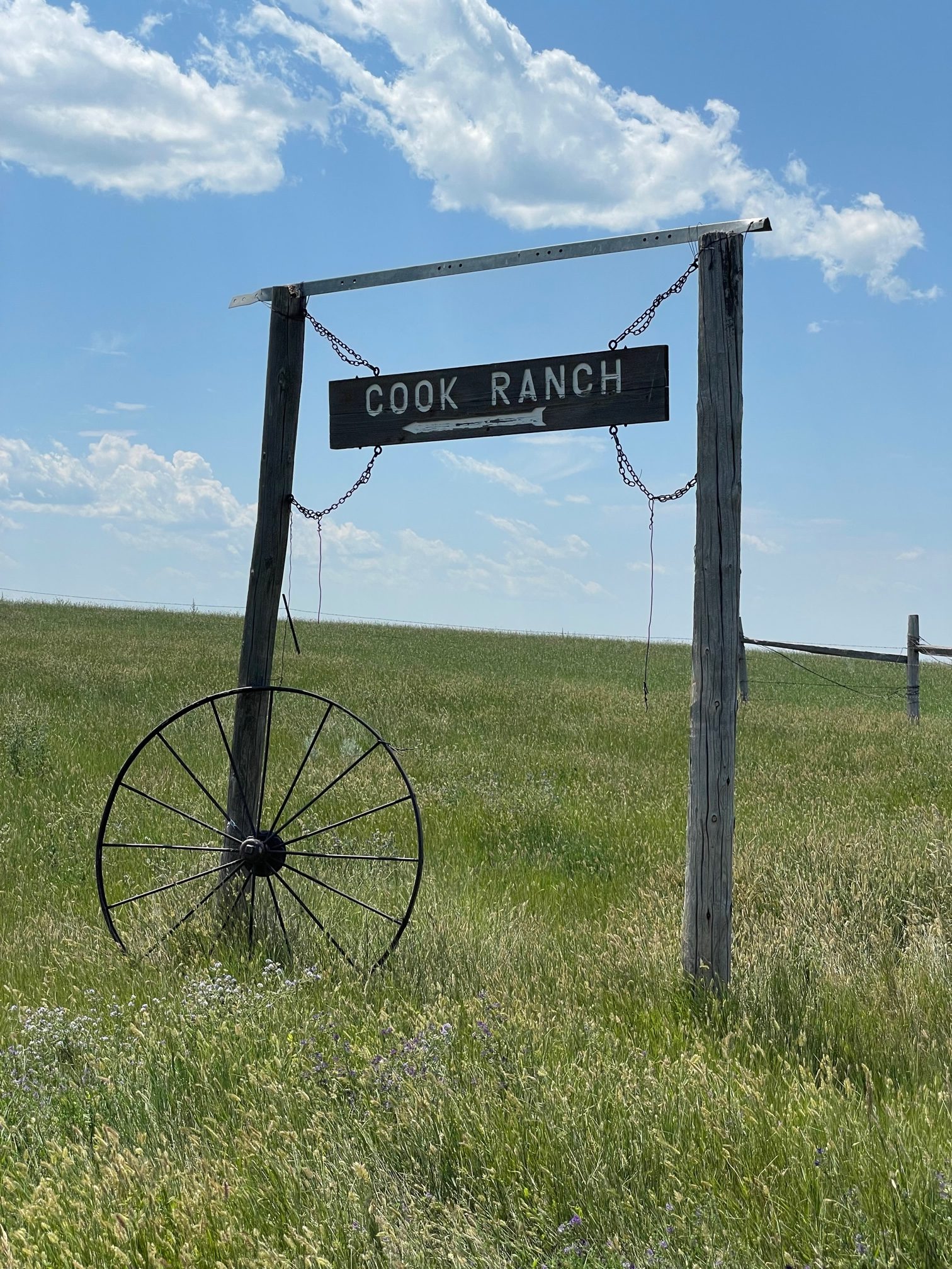 60th Anniversary Edition | Estelle Cook, Sheep Rancher | TSLN.com