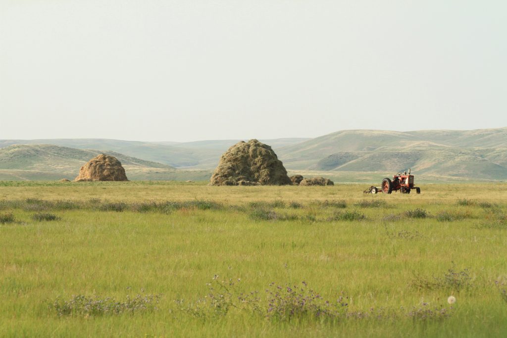 60th Anniversary Edition | Sustaining a Legacy: The Edoff Family of ...