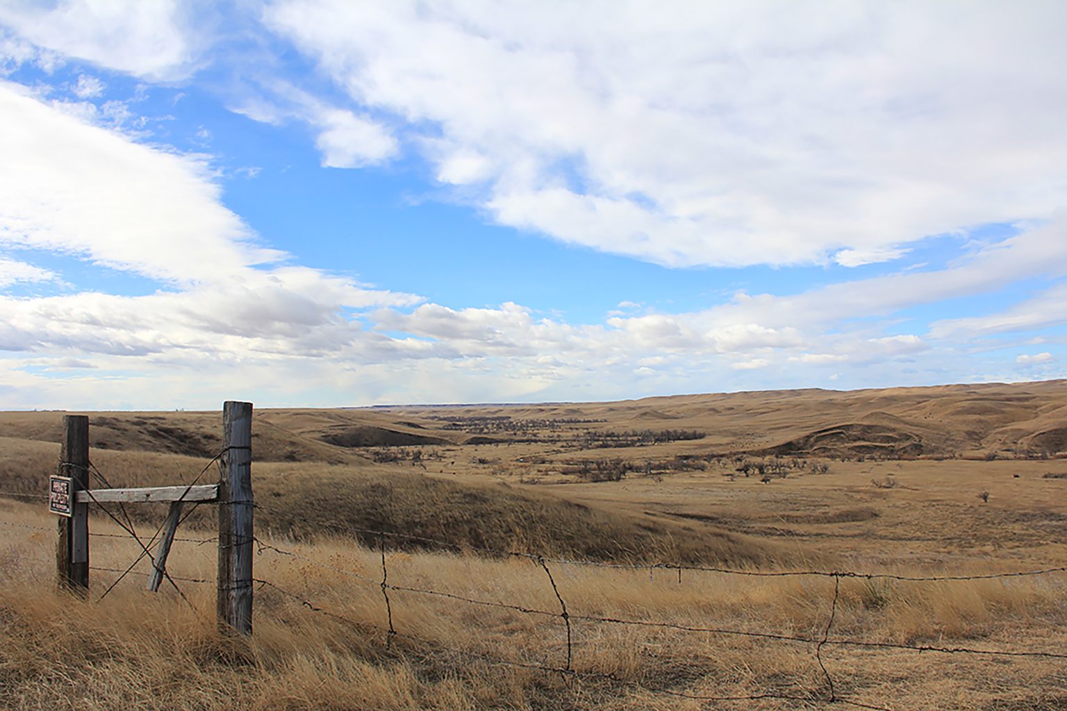 60th Anniversary Edition | Sustaining a Legacy: The Edoff Family of ...