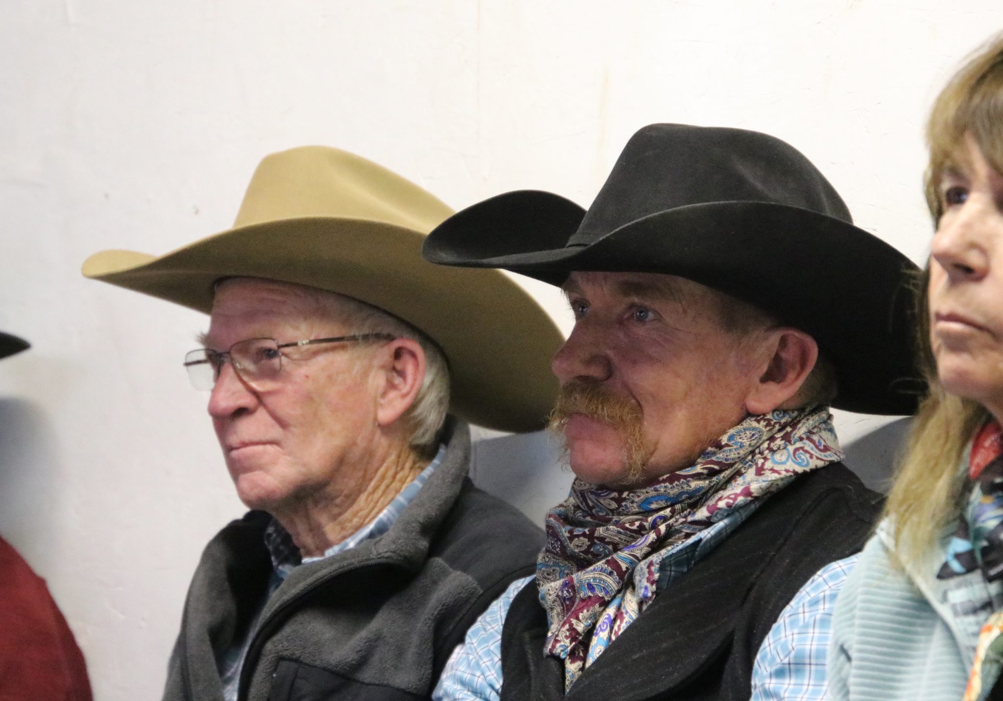 Largent and Sons Herefords Desert Mart Prime Demand Sale | TSLN.com