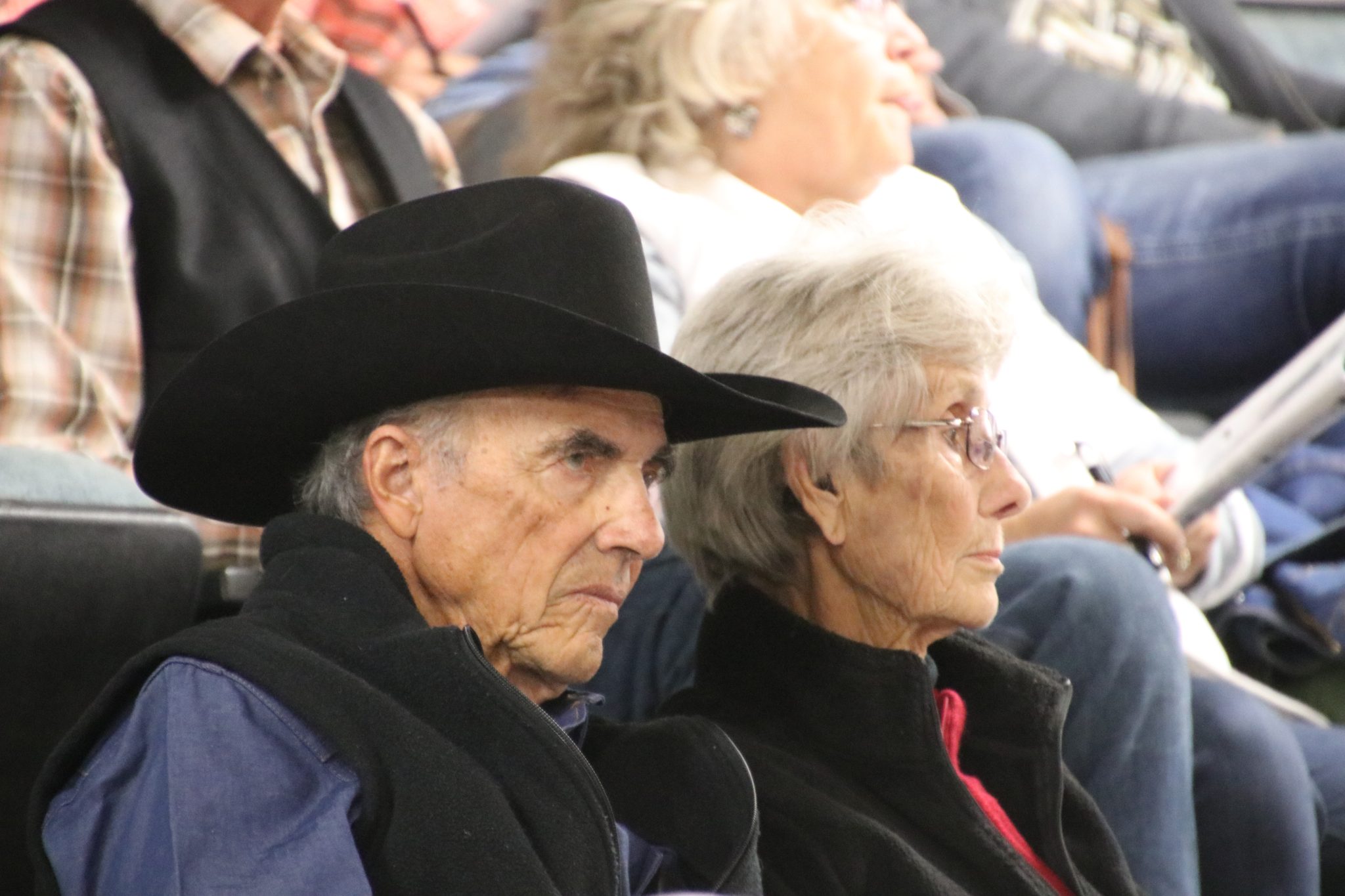 Redland Angus Bull and Commercial Female Sale | TSLN.com