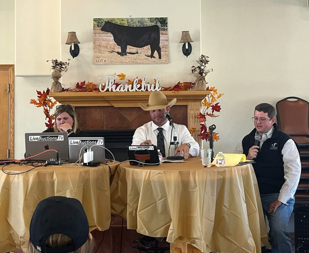 Baldridge/Tiedeman and Frank Cattle Annual Female Sale | TSLN.com