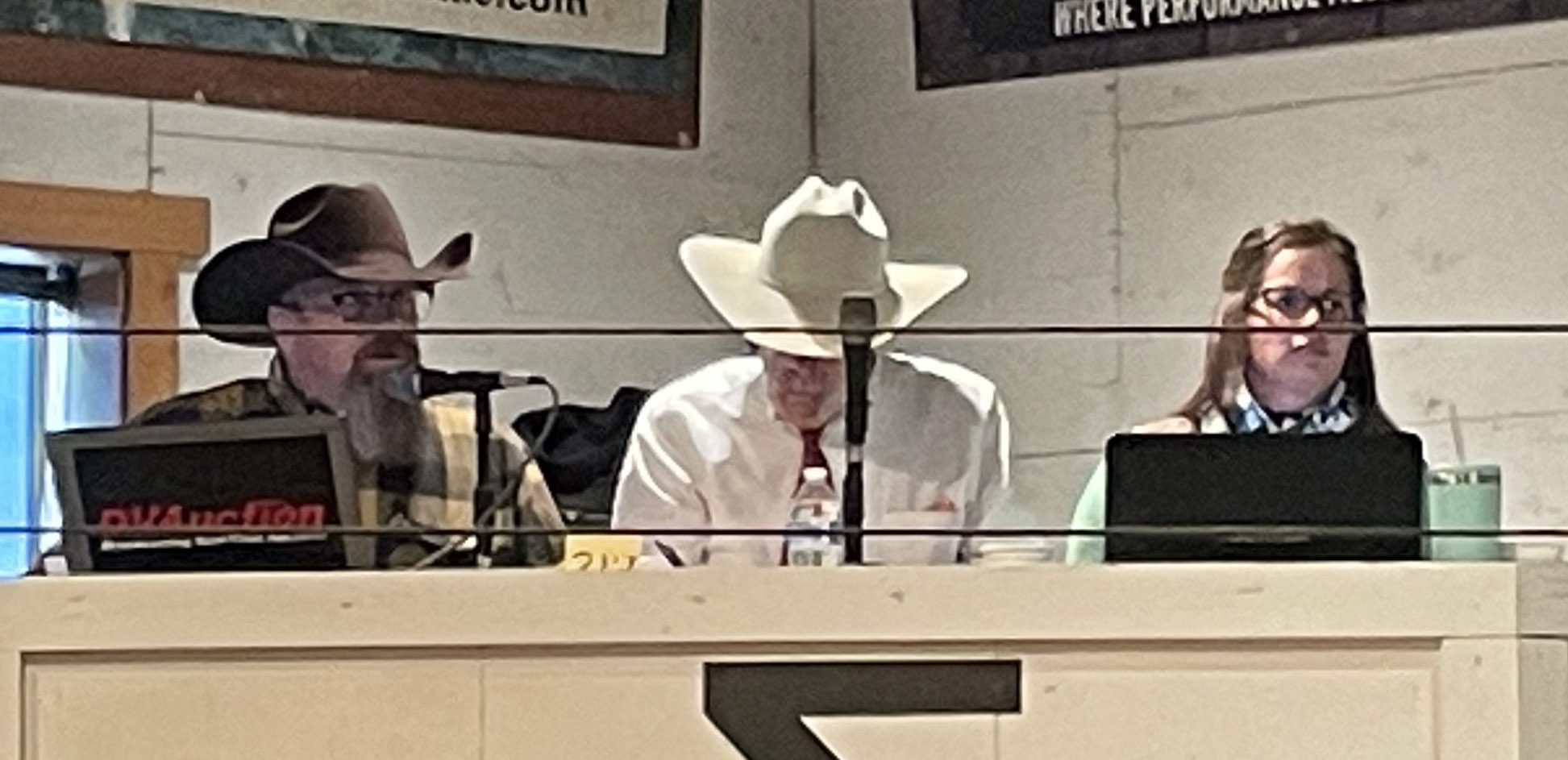 Big Sky Elite Female Sale | TSLN.com