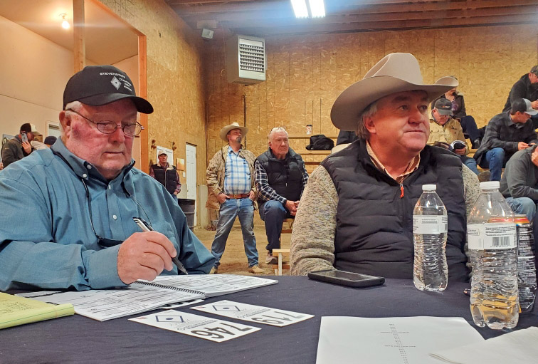 Stevenson’s Diamond Dot Sale | TSLN.com