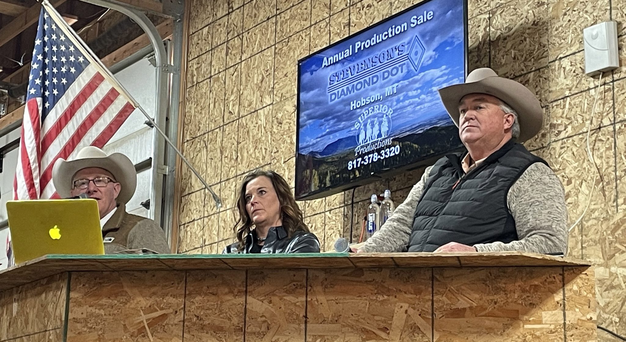 Stevenson’s Diamond Dot Sale | TSLN.com