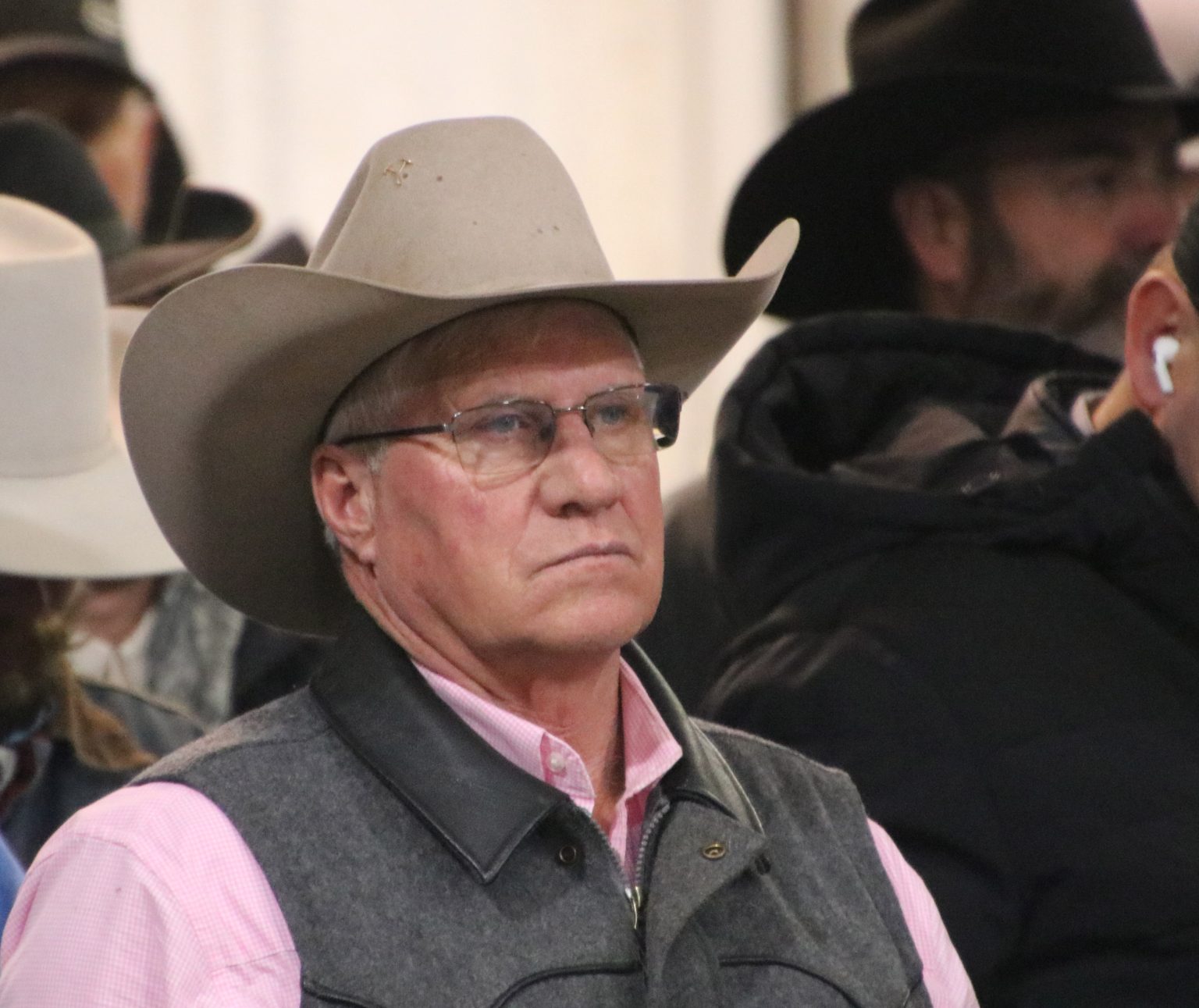 Sitz Angus Bull and Commercial Female Sale | TSLN.com