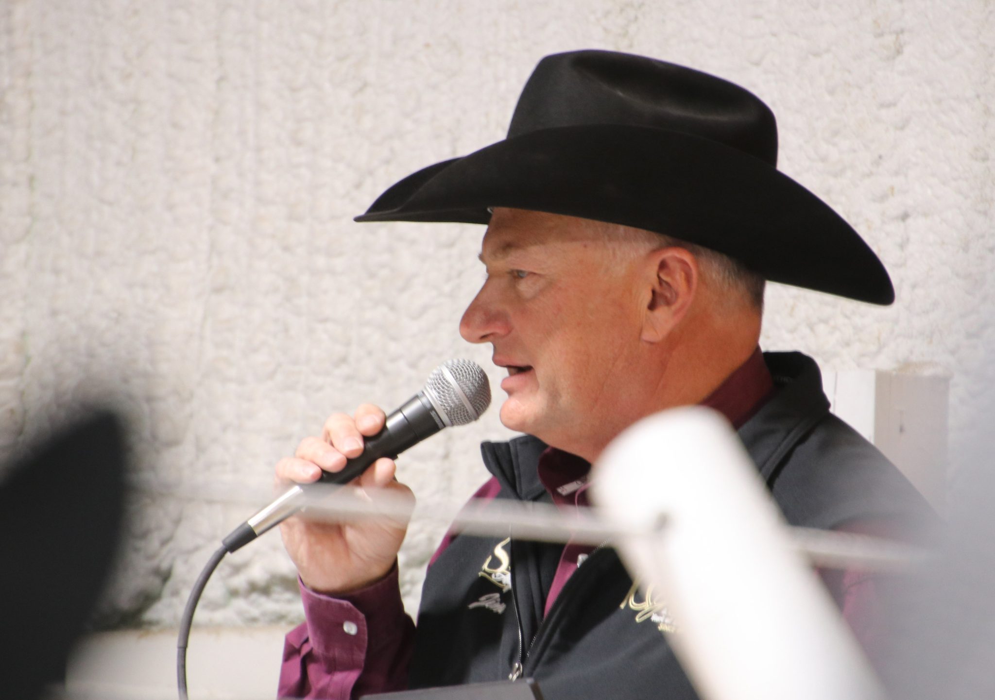 Sitz Angus Bull and Commercial Female Sale | TSLN.com