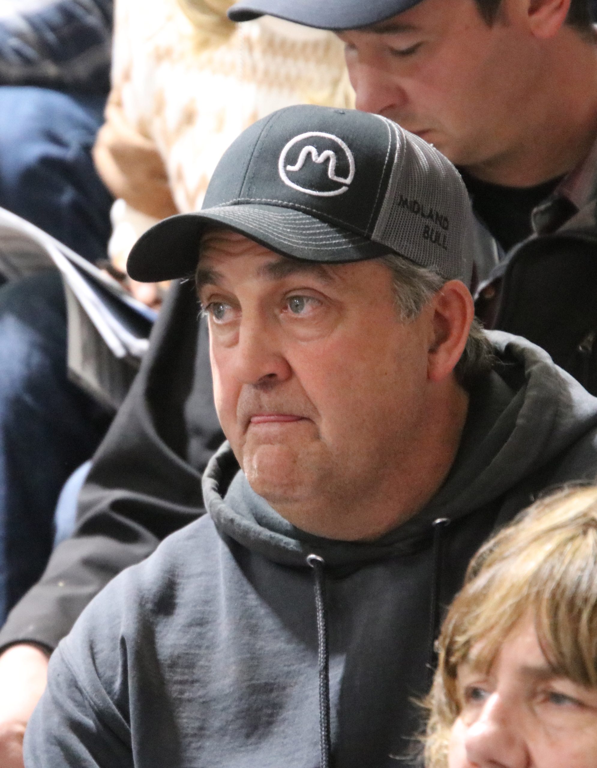 Sitz Angus Bull and Commercial Female Sale | TSLN.com