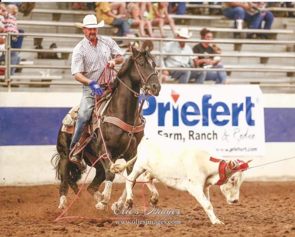 Stallion Showcase 2024 | Williams Performance Horses | TSLN.com