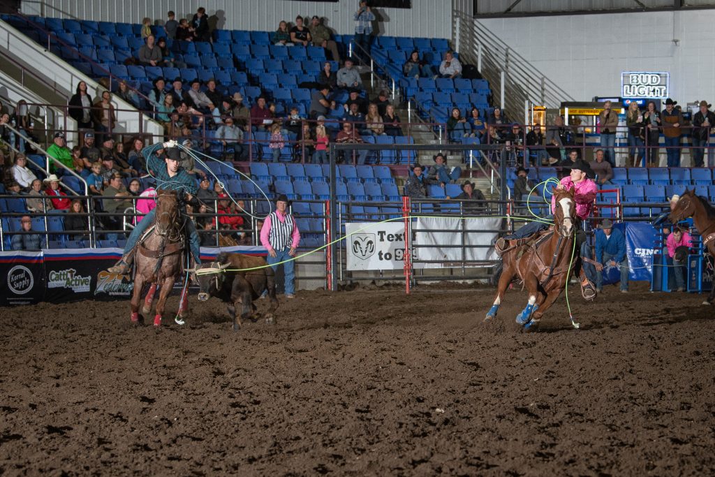 Stallion Showcase 2024 | Bodie Mattson and “Pendleton” on Winning ...