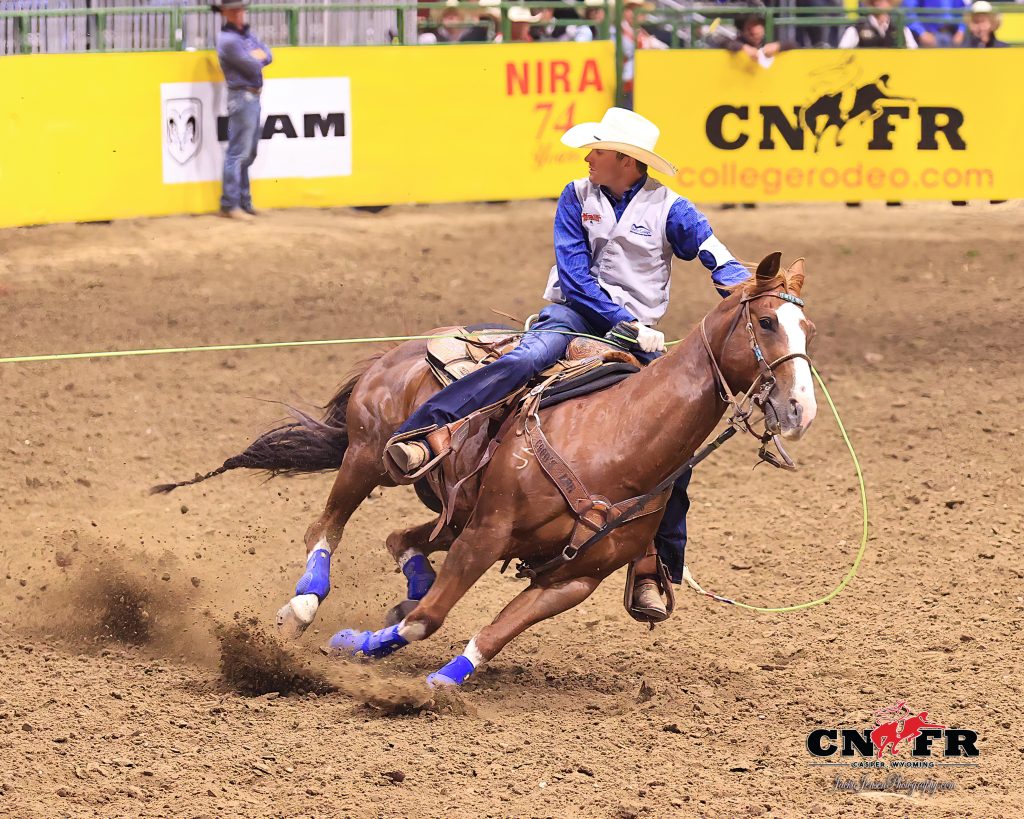 Stallion Showcase 2024 | Bodie Mattson and “Pendleton” on Winning ...