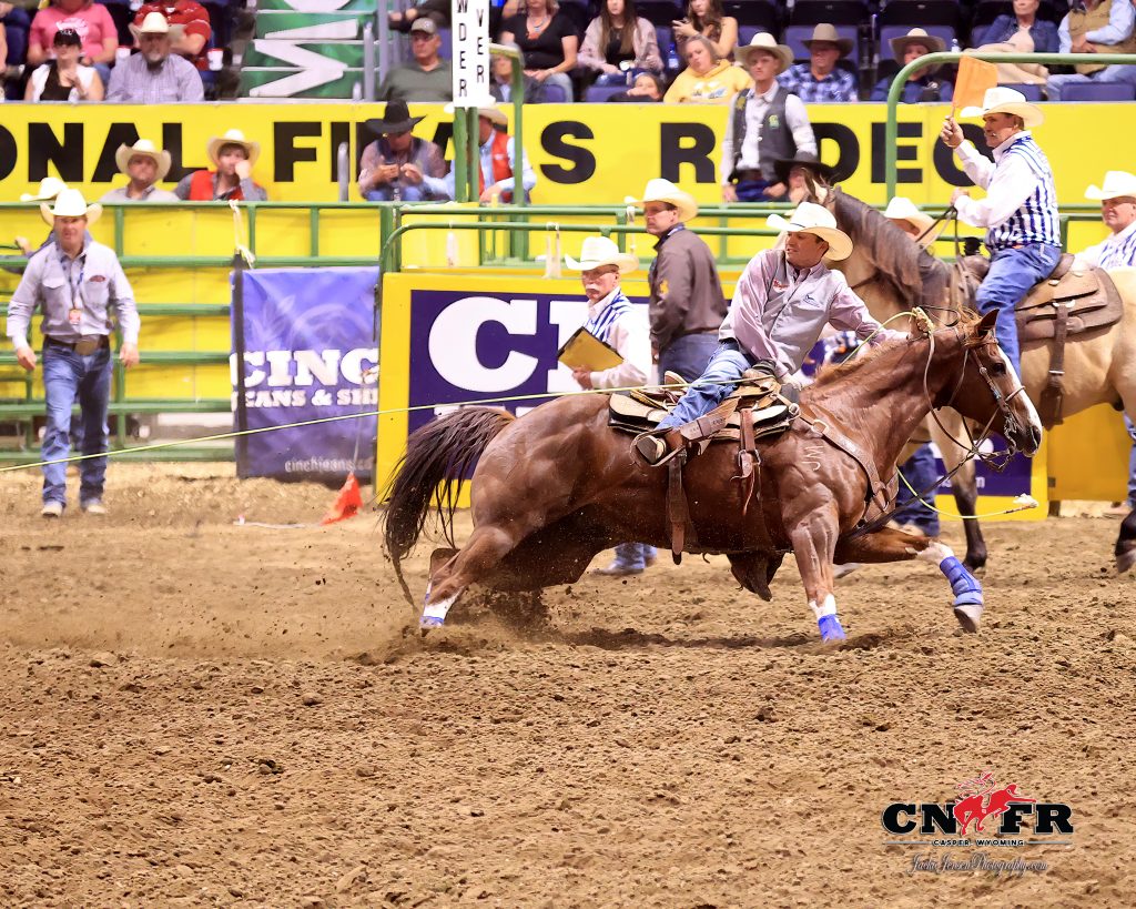 Stallion Showcase 2024 | Bodie Mattson and “Pendleton” on Winning ...