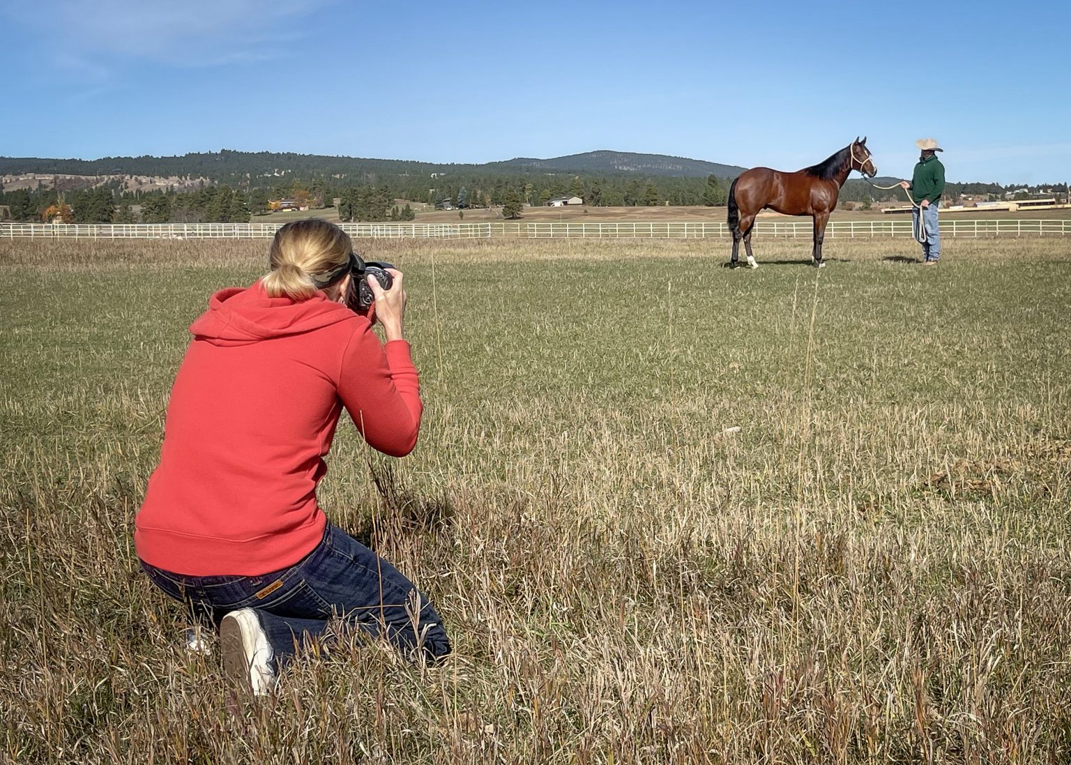 Stallion Showcase 2024 | Sammi Johnson: SJ Equine | TSLN.com