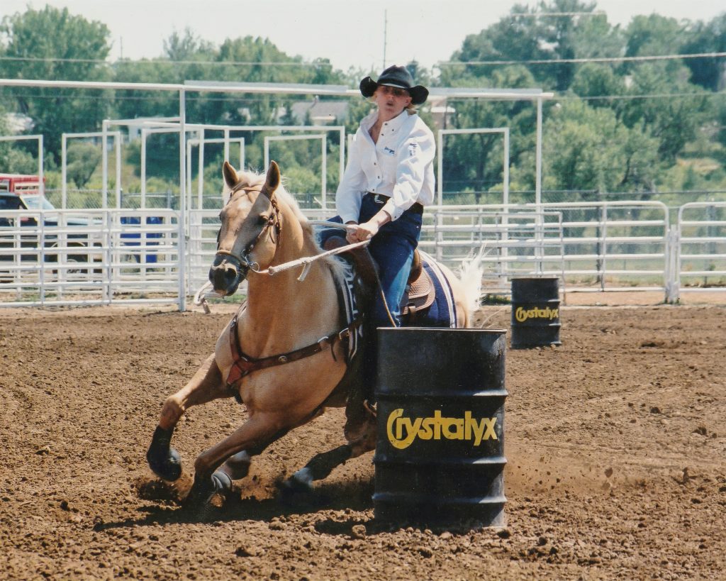 Stallion Showcase 2024 | Sammi Johnson: SJ Equine | TSLN.com