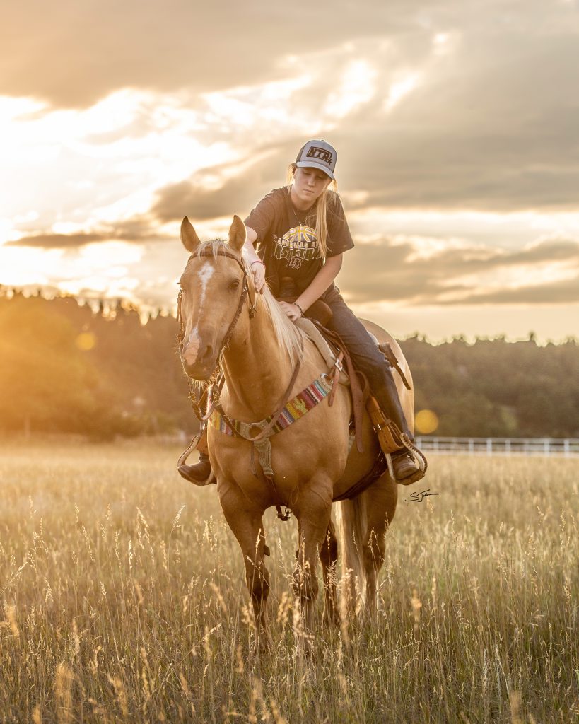 Stallion Showcase 2024 | Sammi Johnson: SJ Equine | TSLN.com