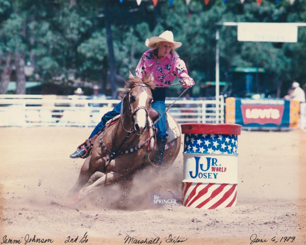 Stallion Showcase 2024 | Sammi Johnson: SJ Equine | TSLN.com