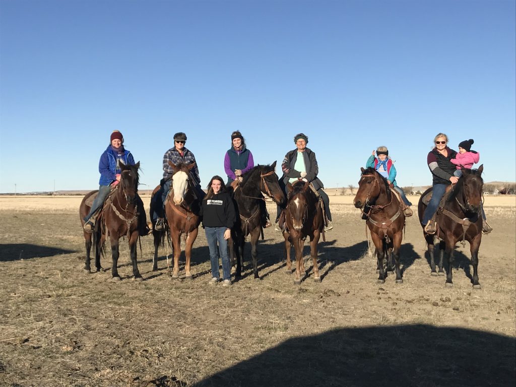 Stallion Showcase 2024 | For the Love of Horses: Emilee Pauley | TSLN.com