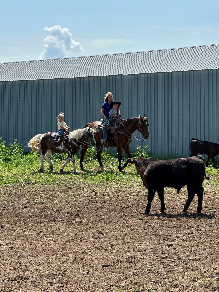 Stallion Showcase 2024 | For the Love of Horses: Emilee Pauley | TSLN.com