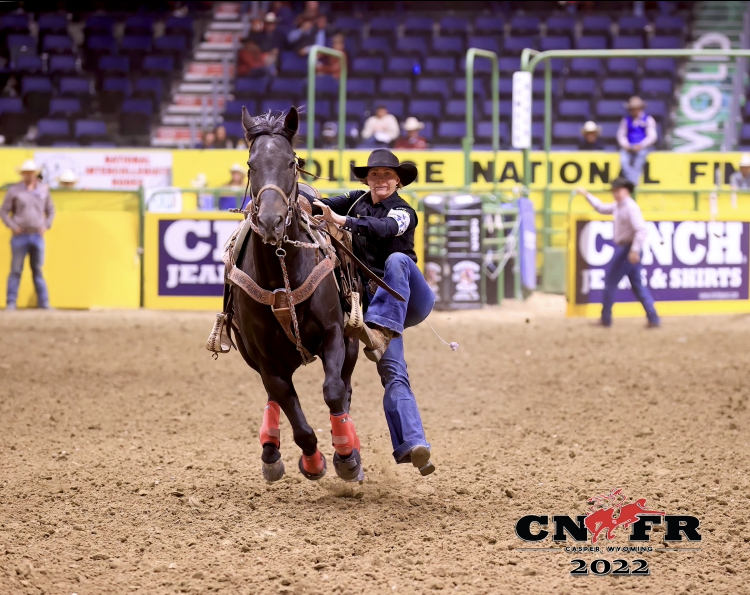 Stallion Showcase 2024 | For the Love of Horses: Emilee Pauley | TSLN.com