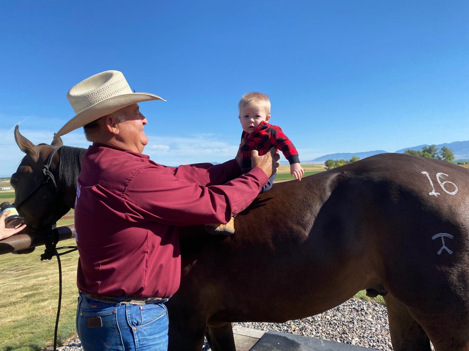 Stallion Showcase 2024 | Carrying the Torch: Family Continues Butch ...