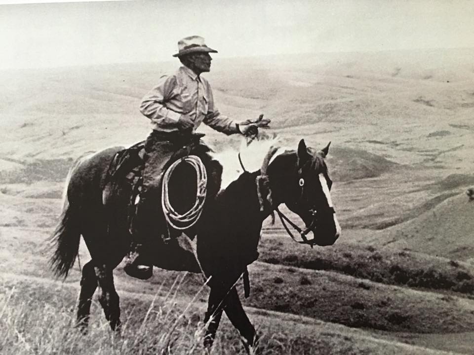 Stallion Showcase 2024 | Jim Hunt to Become AQHA President | TSLN.com