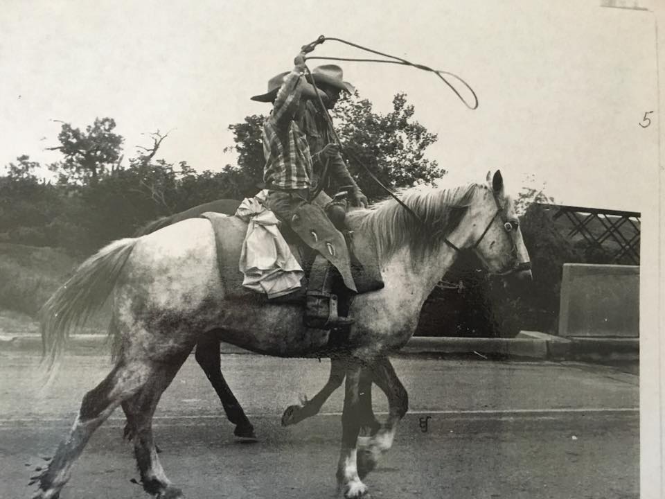 Stallion Showcase 2024 | Jim Hunt to Become AQHA President | TSLN.com