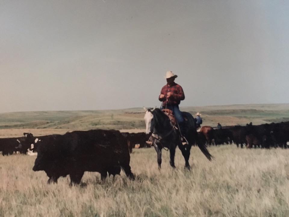 Stallion Showcase 2024 | Jim Hunt to Become AQHA President | TSLN.com