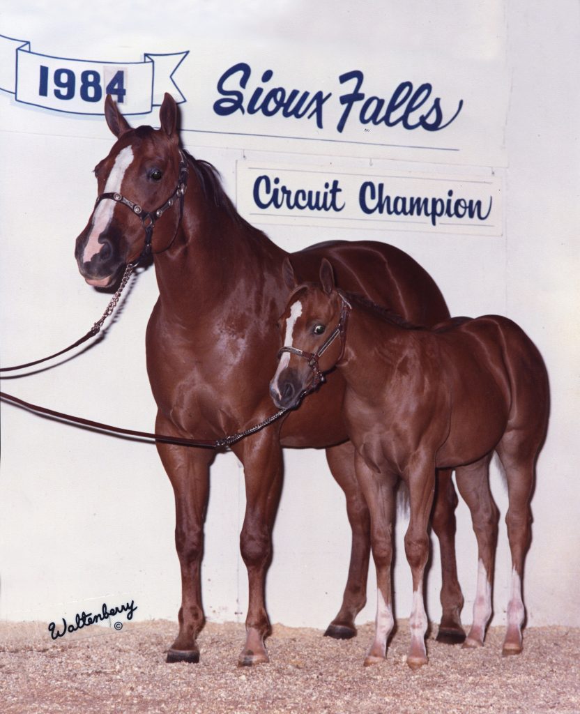 Showman, Photographer Larry Larson Honored by SDQHA | TSLN.com