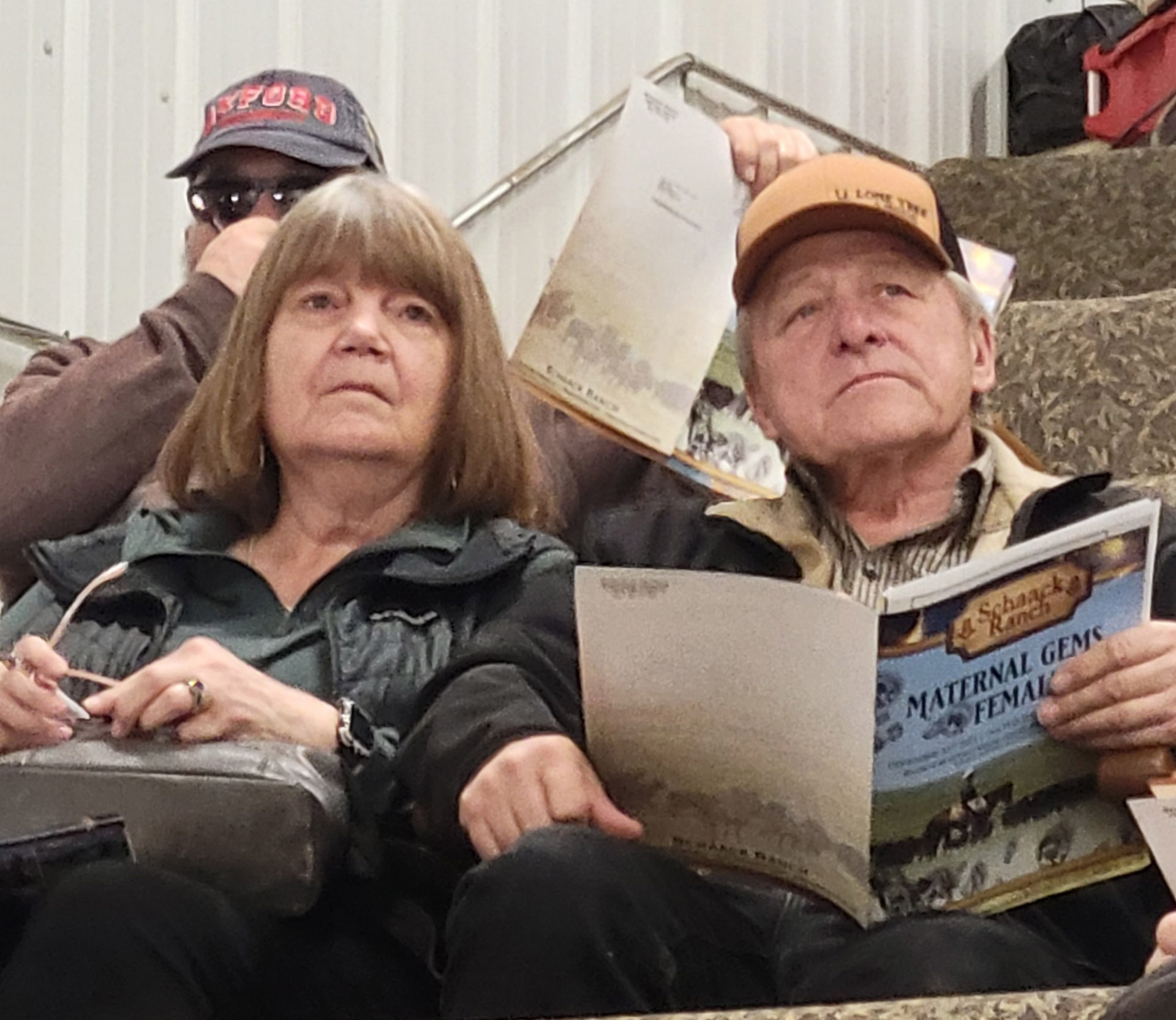 Schaack Ranch Maternal Gems Female Sale | TSLN.com