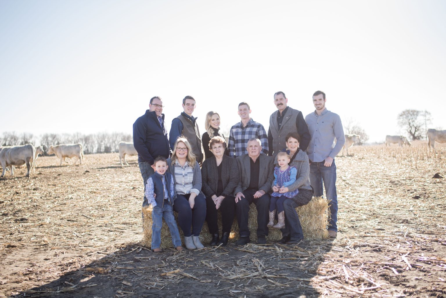 2024 Winter Cattle Journal | Wienk Charolais Ranch | TSLN.com