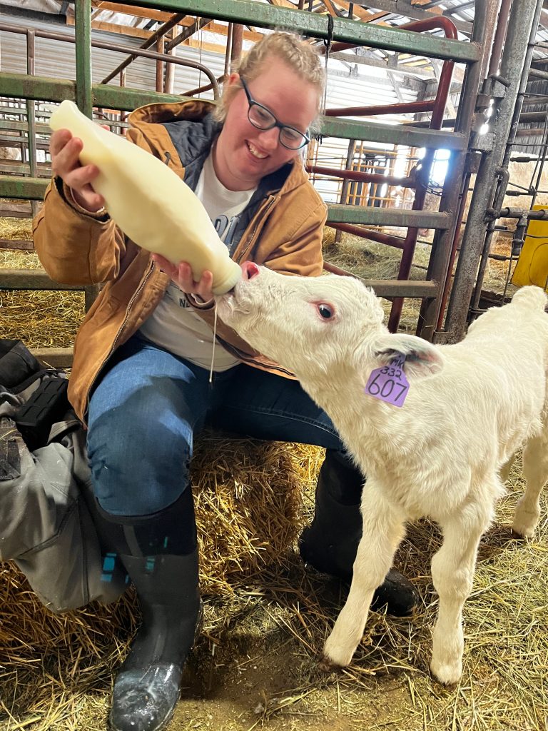 2024 Winter Cattle Journal | Soreide Charolais: Loving Life | TSLN.com