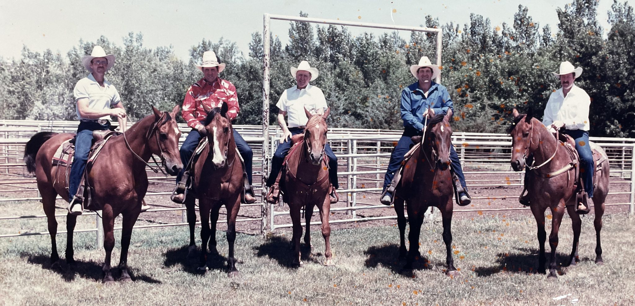 2024 Winter Cattle Journal | Frey Angus Ranch | TSLN.com