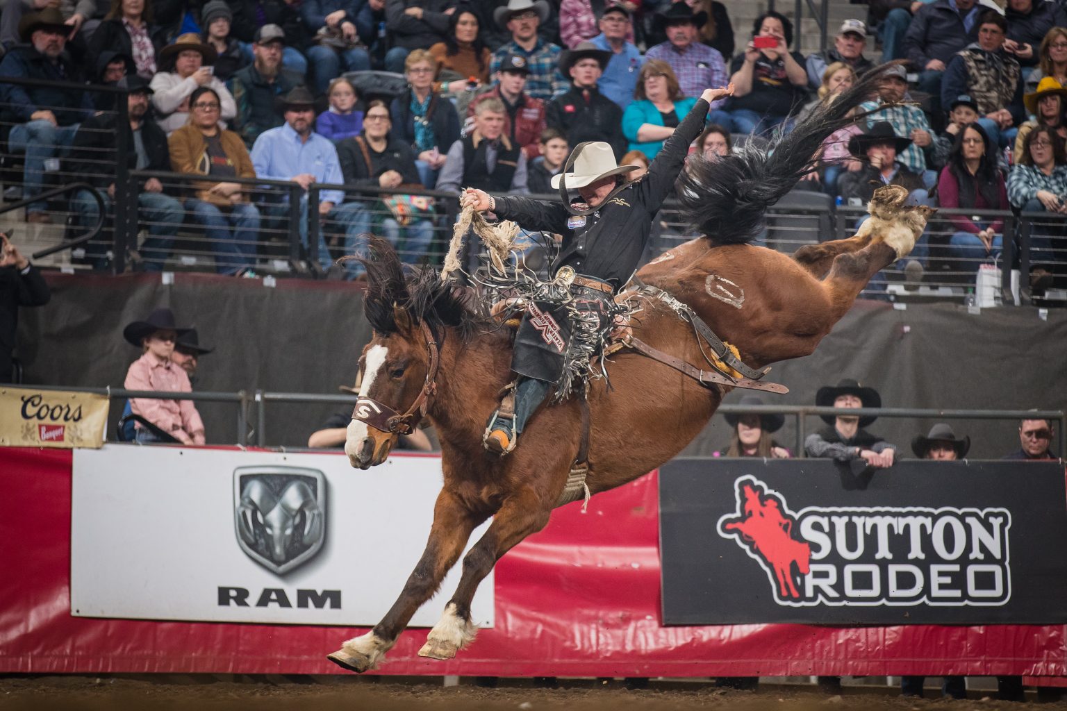 2024 Black Hills Stock Show | Sutton’s South Point | TSLN.com